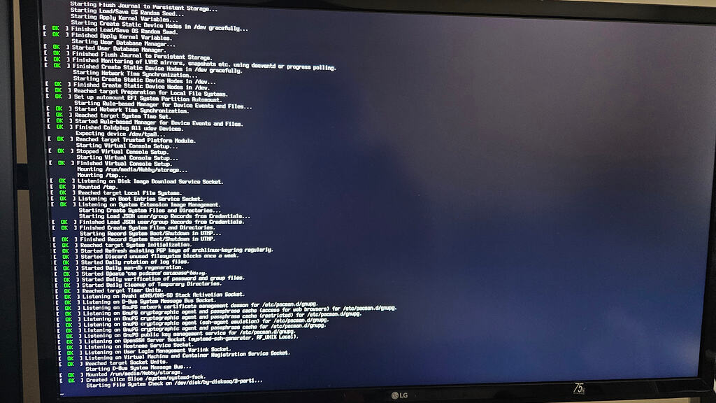 Stuck on boot (plz help) - Newbie - EndeavourOS