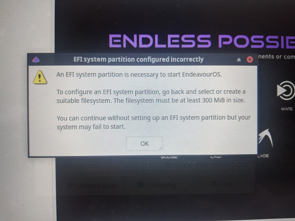 Efi System Partition Warning During Installation Endeavouros