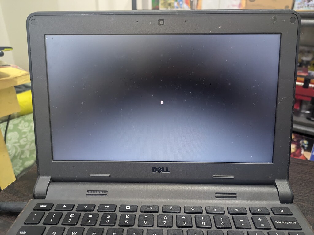 Installed EOS in Dell Chromebook 11 (3120) (board name: CANDY) - stuck ...