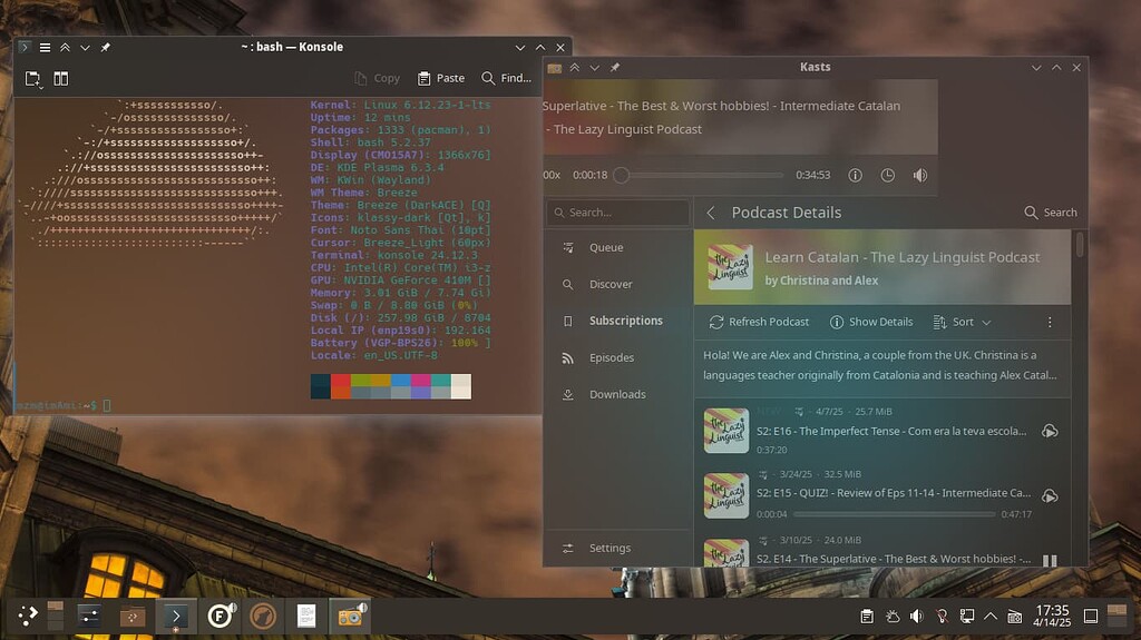 Kasts broken UI, autoplay next episode broken - Applications - EndeavourOS