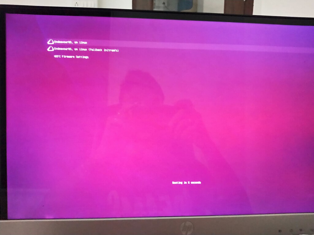 Boot splash screen of Endeavour os - General system - EndeavourOS