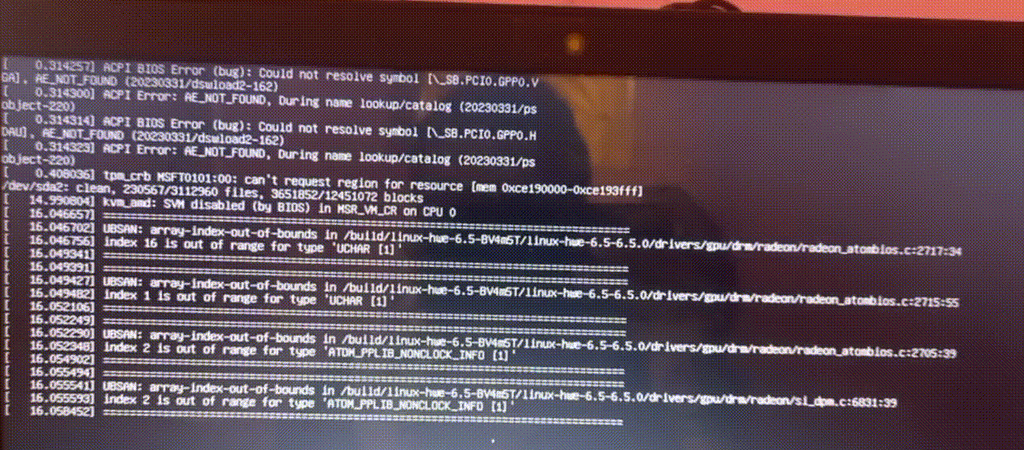 BIOS Not Working After Dual Boot? - Newbie - EndeavourOS