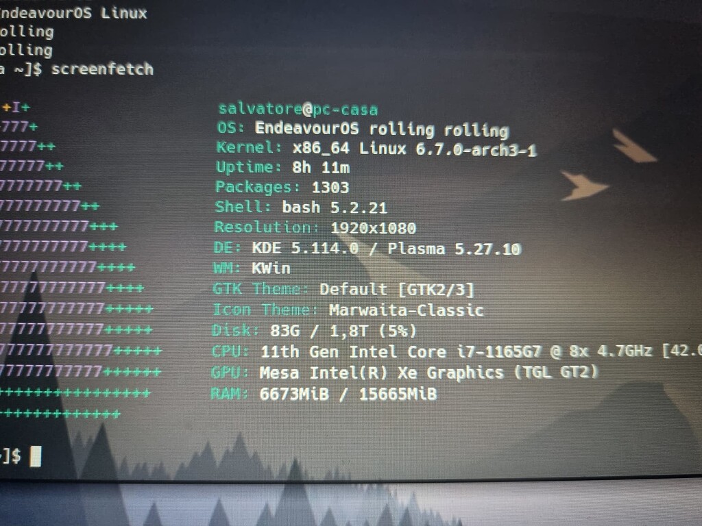 Screenfetch - Newbie - EndeavourOS