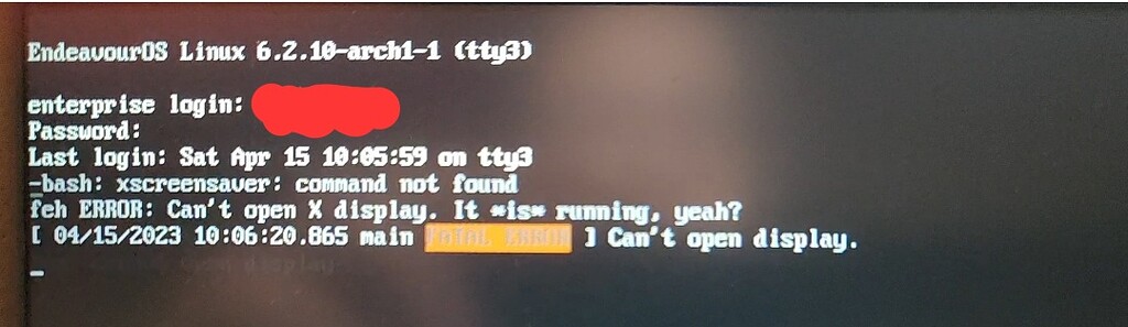 X Fatal Error (can't even login via tty) - Newbie - EndeavourOS