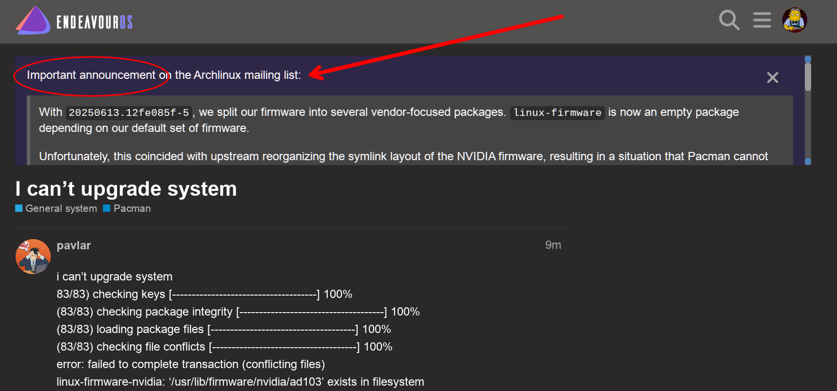 I can't upgrade system - Pacman & AUR helpers - EndeavourOS