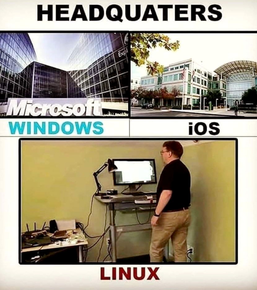 Share Your Linux Memes - Page 68 - Lounge - EndeavourOS