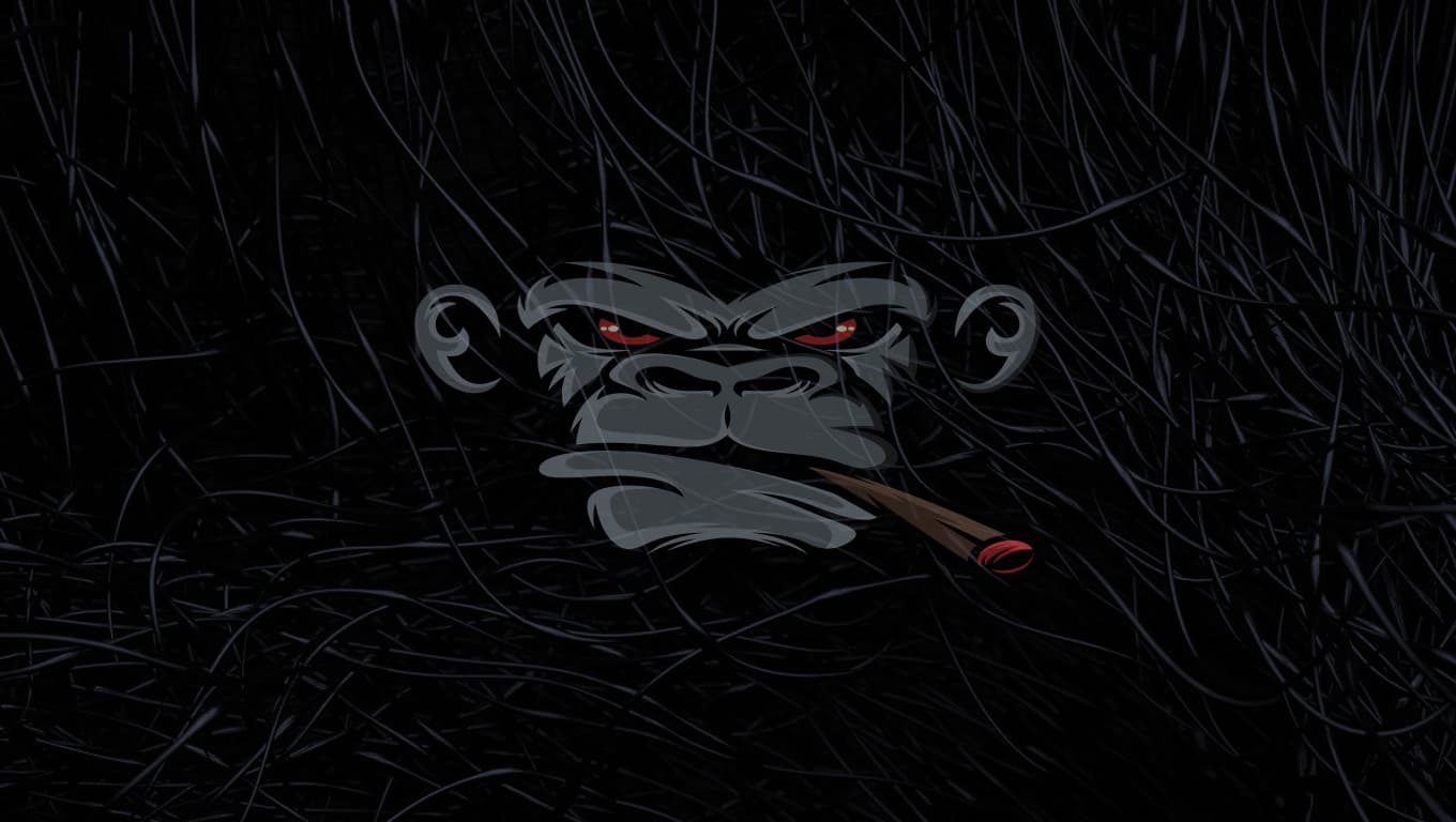 Various Wallpapers 2024 - EndeavourOS pub - EndeavourOS